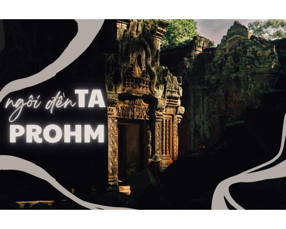 Đền Ta Prohm - Kỳ quan bị thiên nhiên “nuốt chửng” giữa rừng già Angkor