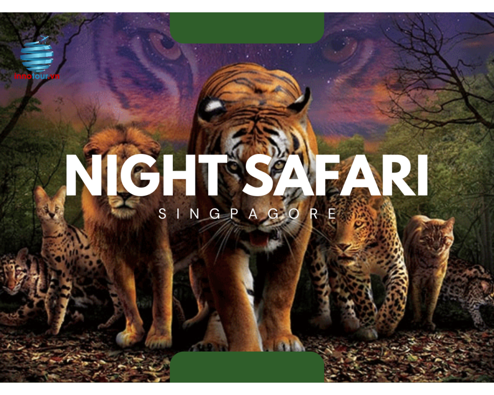 Trải Nghiệm Night Safari - Công Viên Đêm Độc Đáo Nhất Thế Giới